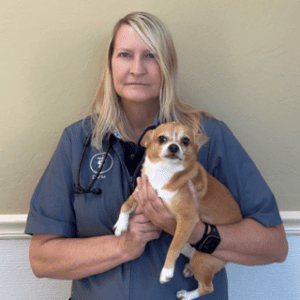 Veterinarian In Fort Myers, FL 33908 | Summerlin Animal Hospital